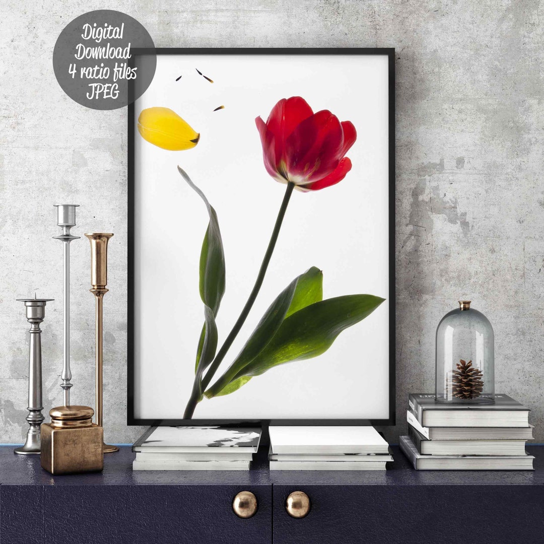 Red Tulip Flower Digital Art Print - Etsy