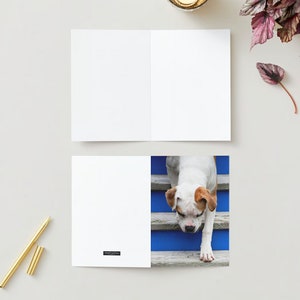 SET OF 5 - Dog Greeting Cards Set | Pet Greeting Cards Set | Dog Lover ...