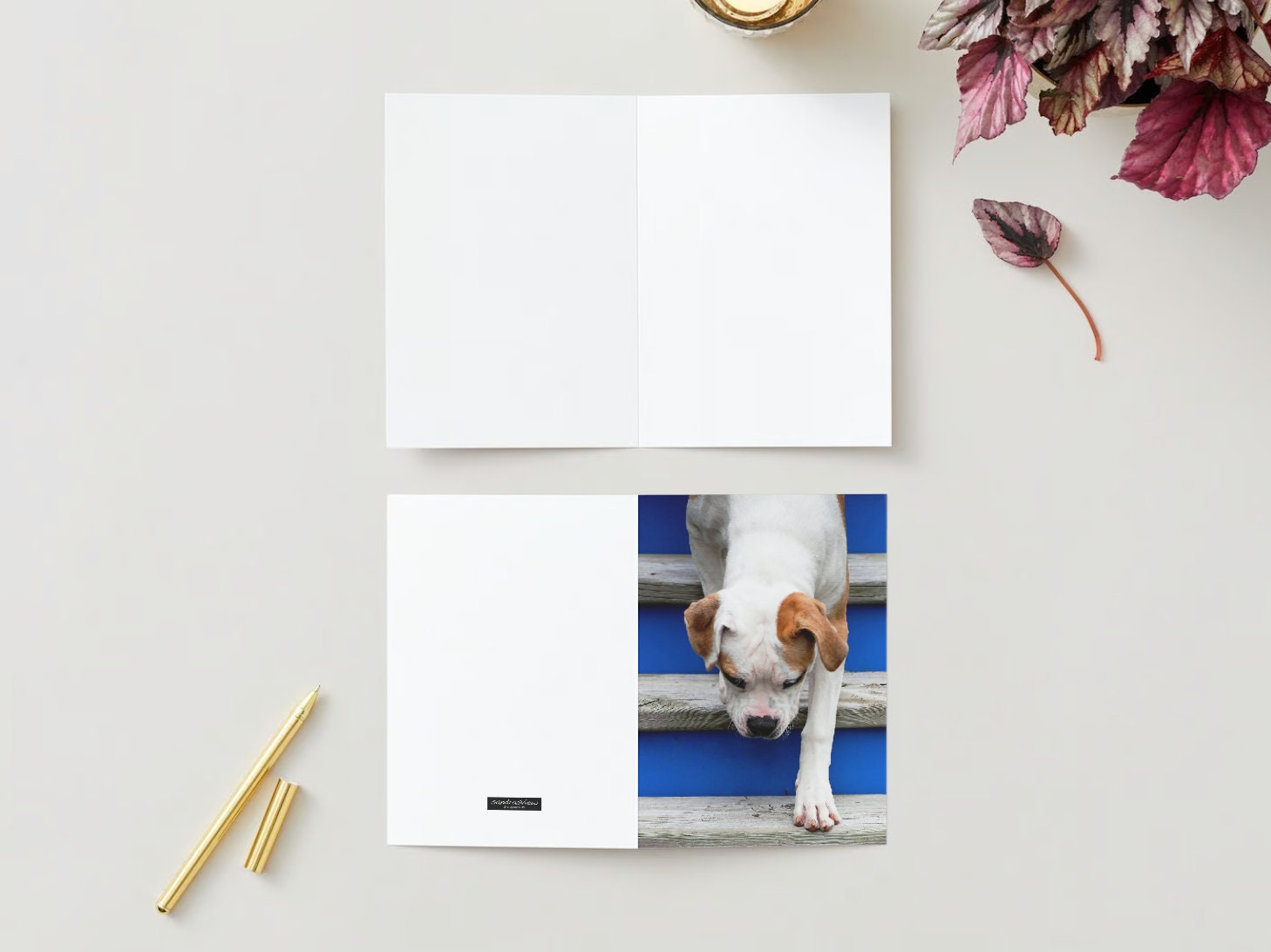 SET OF 5 - Dog Greeting Cards Set | Pet Greeting Cards Set | Dog Lover ...