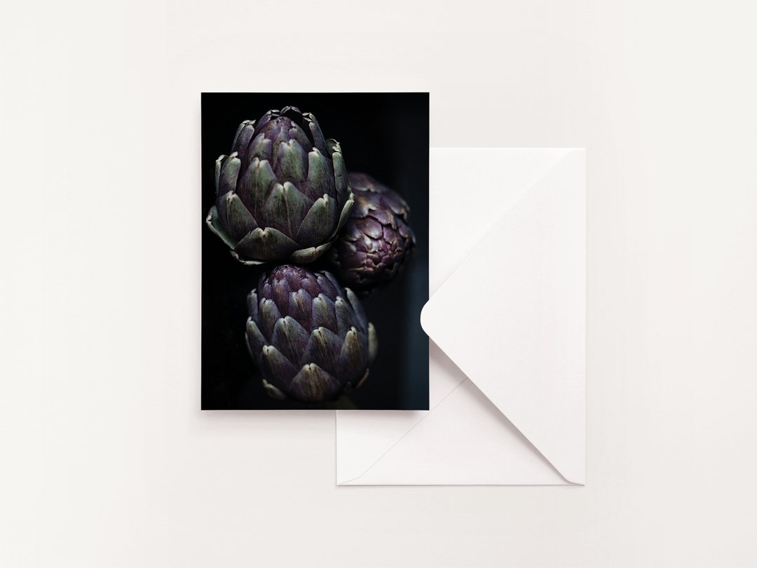 SET OF 5 - Still Life Photography Folded Card | Still Life Greeting ...