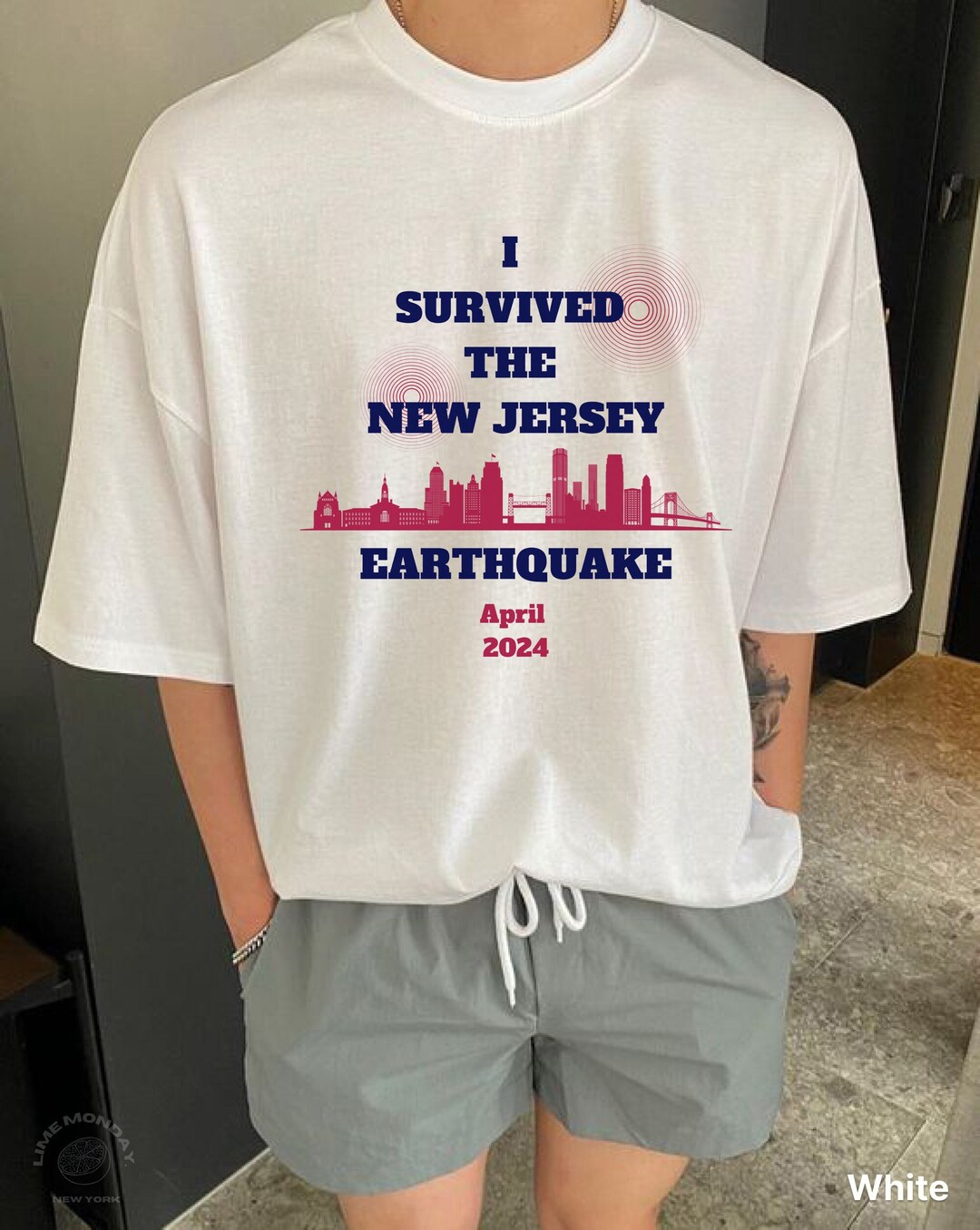 I Survived the New Jersey Earthquake, New York City Earthquake, I ...