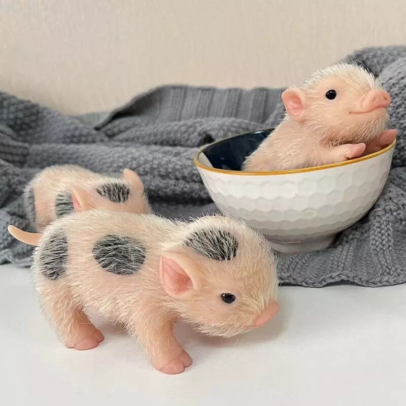 Newborn Teacup Pig