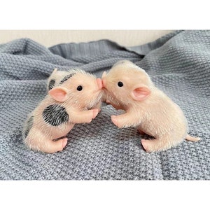 Reborn Silicone Mini Baby Pig Full Body Lifelike Piglet 5inches - Etsy UK
