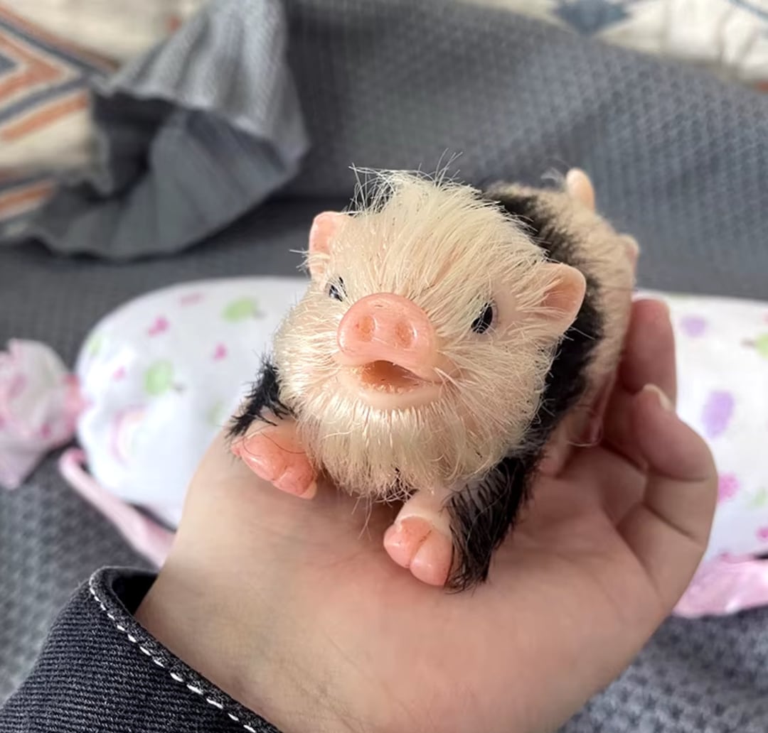 Reborn Silicone Mini Baby Hairy Pig Full Body Lifelike Piglet 5inches ...