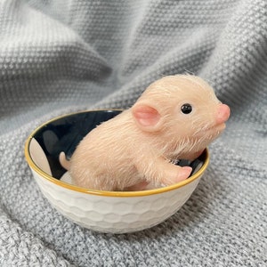 Reborn Silicone Mini Baby Pig Full Body Lifelike Piglet 5inches - Etsy UK
