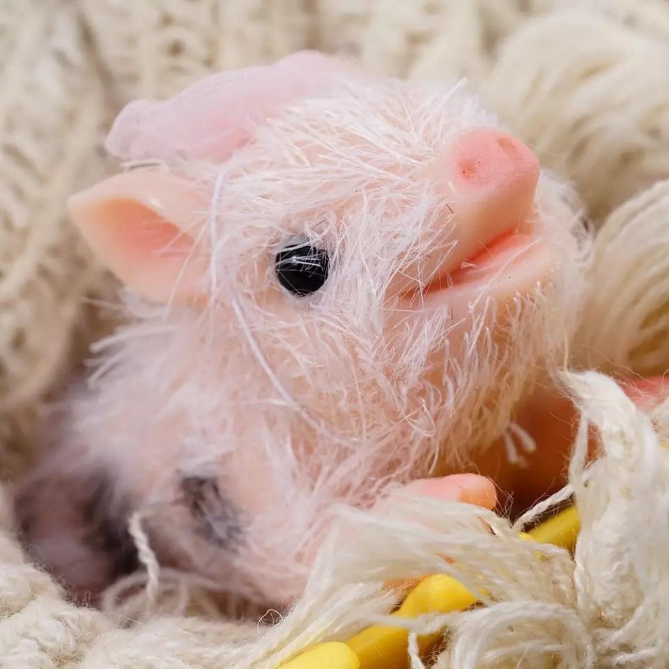 Reborn Silicone Mini Baby Pig Full Body Lifelike Piglet - Etsy