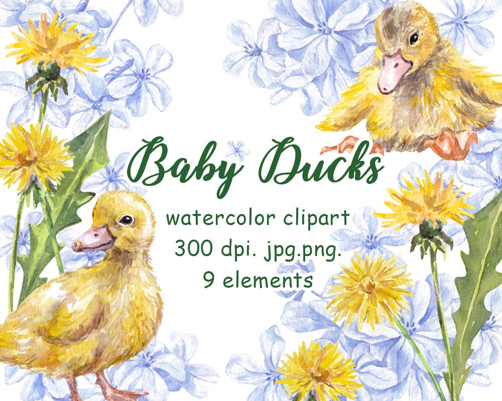 Duckling Watercolor Clipart Duck Baby Shower Png Cute Duck - Etsy Canada