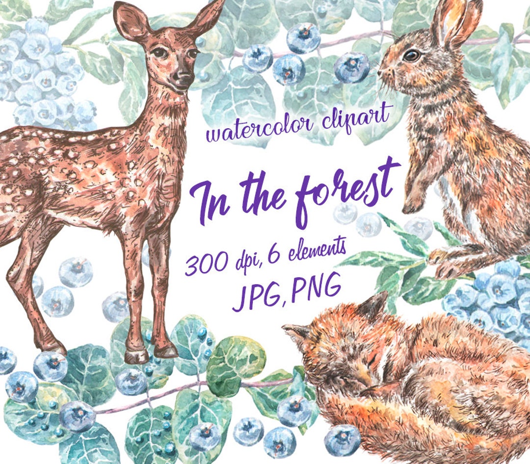 Watercolor Clipart Forest Animal Prints Baby Shower Nursery - Etsy