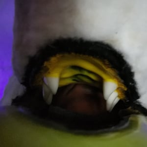 Almost Partial Sergal Head Ready to Ship With Handpaws and Tail 3D Eyes ...