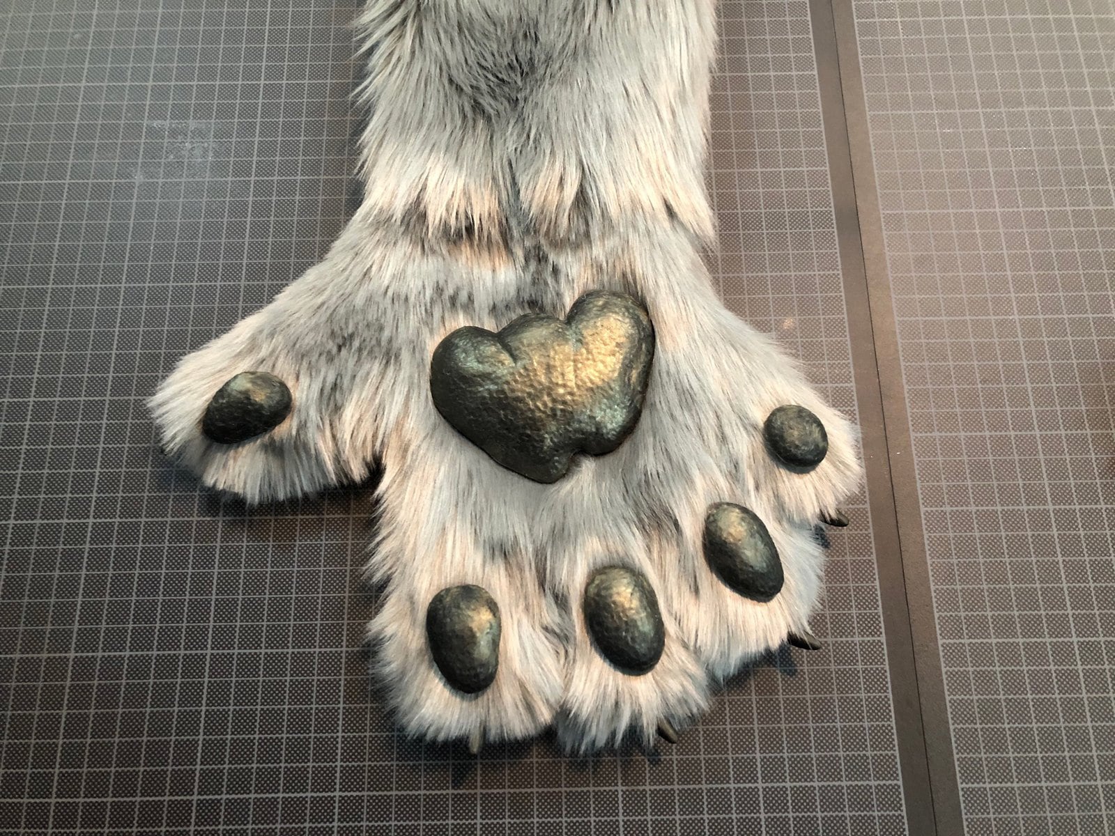 Real Wolf Paw Pad