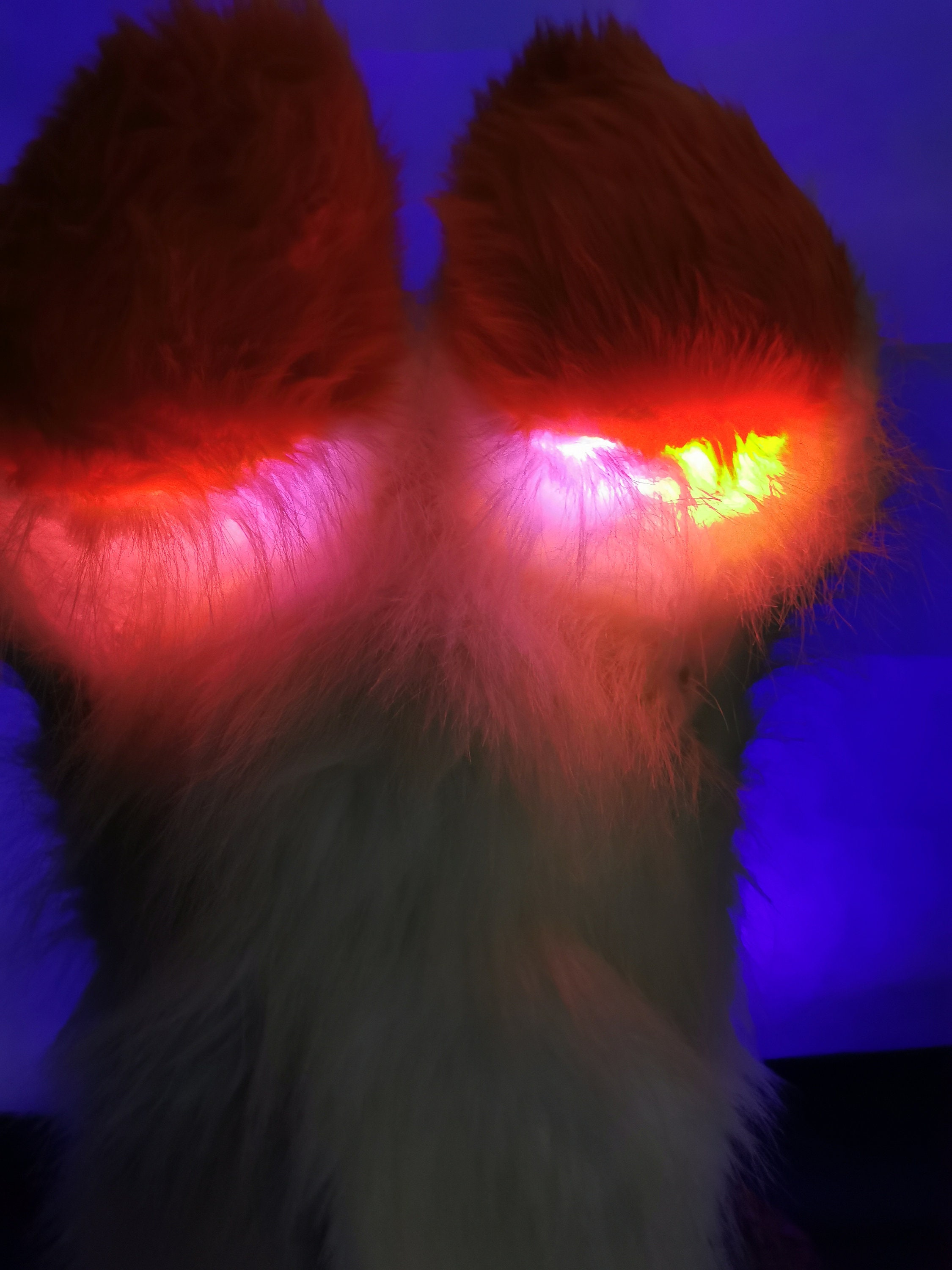 Almost Partial Sergal Head Ready to Ship With Handpaws and Tail 3D Eyes ...