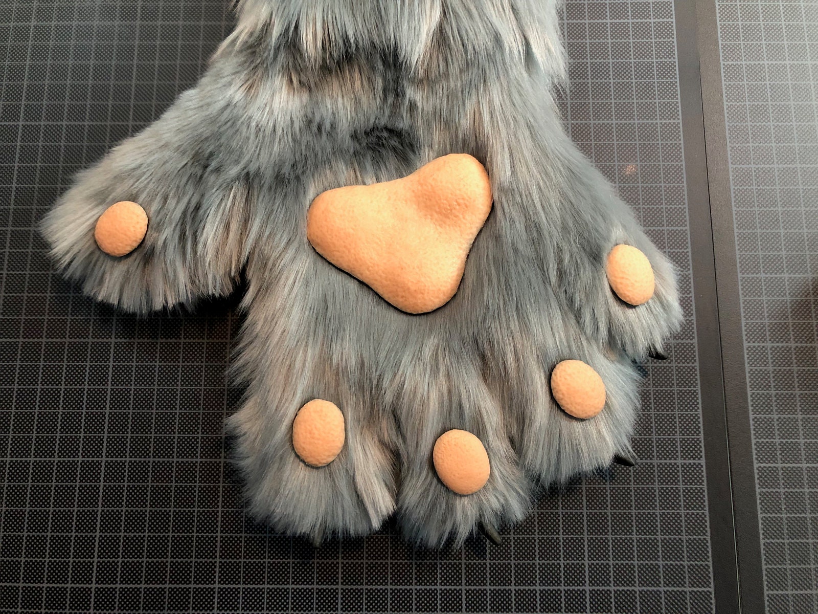 Real Wolf Paw Pad