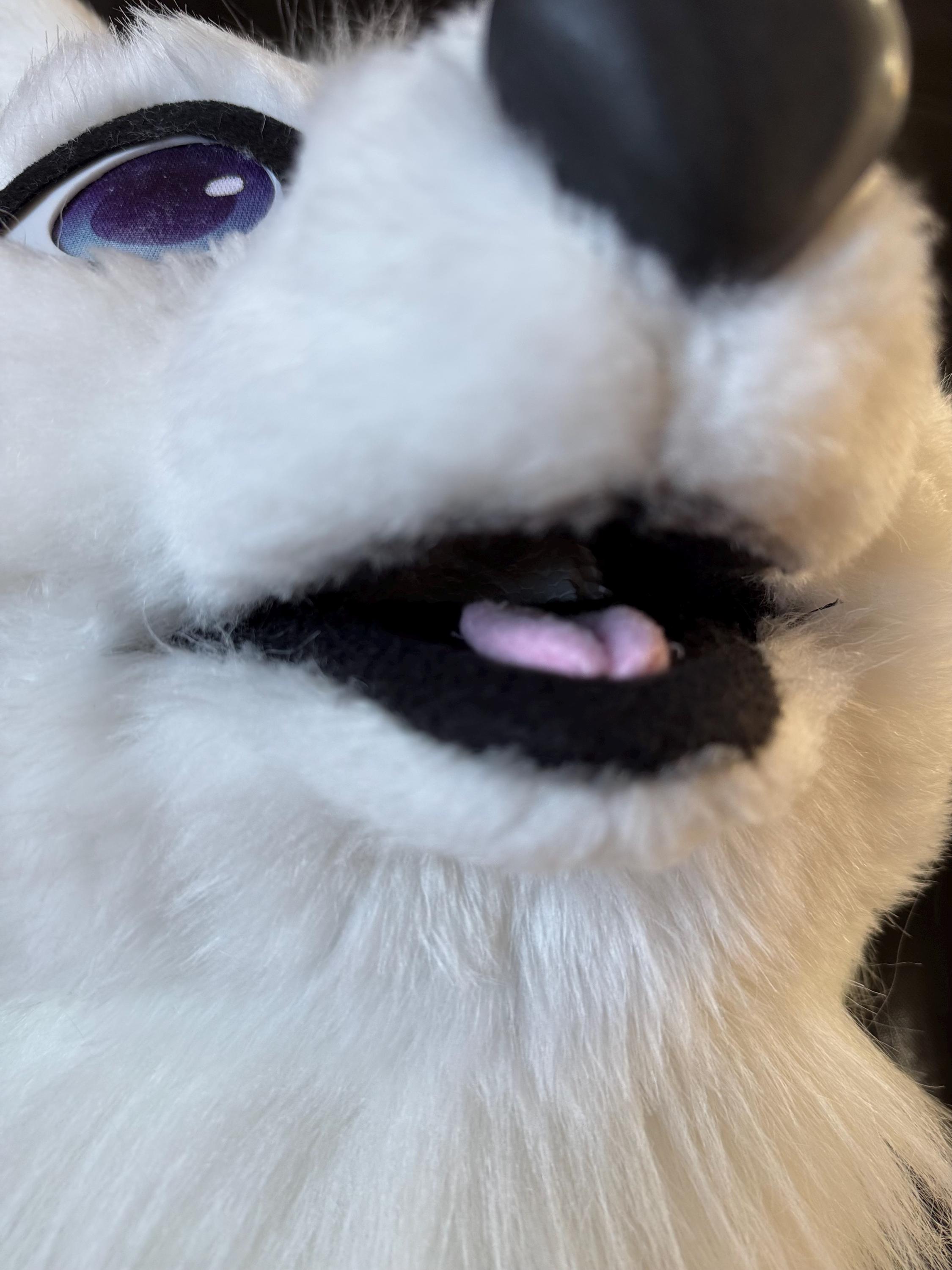 Arctic Fennec Fox Fursuit Mini Partial! Ready to Ship! - Etsy