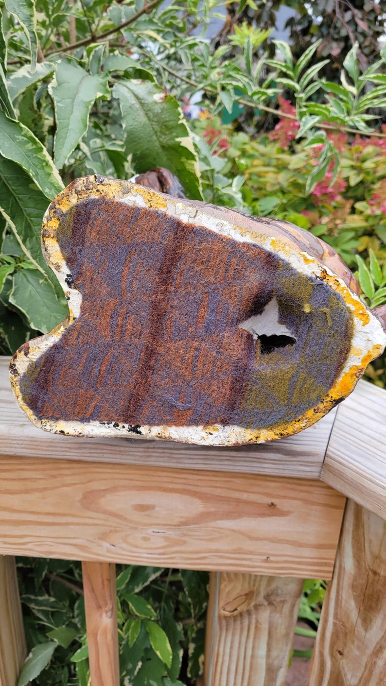 Vintage Plaster Boxer Bulldog Dog Statue Made in Mexico - Etsy