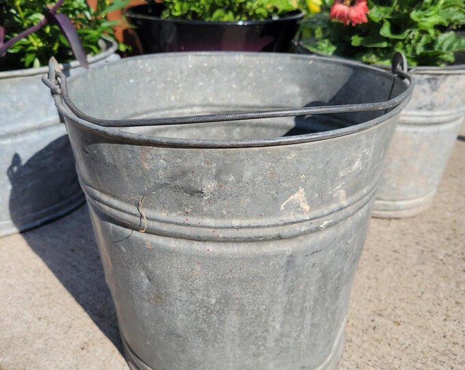 Vintage Galvanized Bucket Planters Wire Bail Handle Barn Tool Farm ...