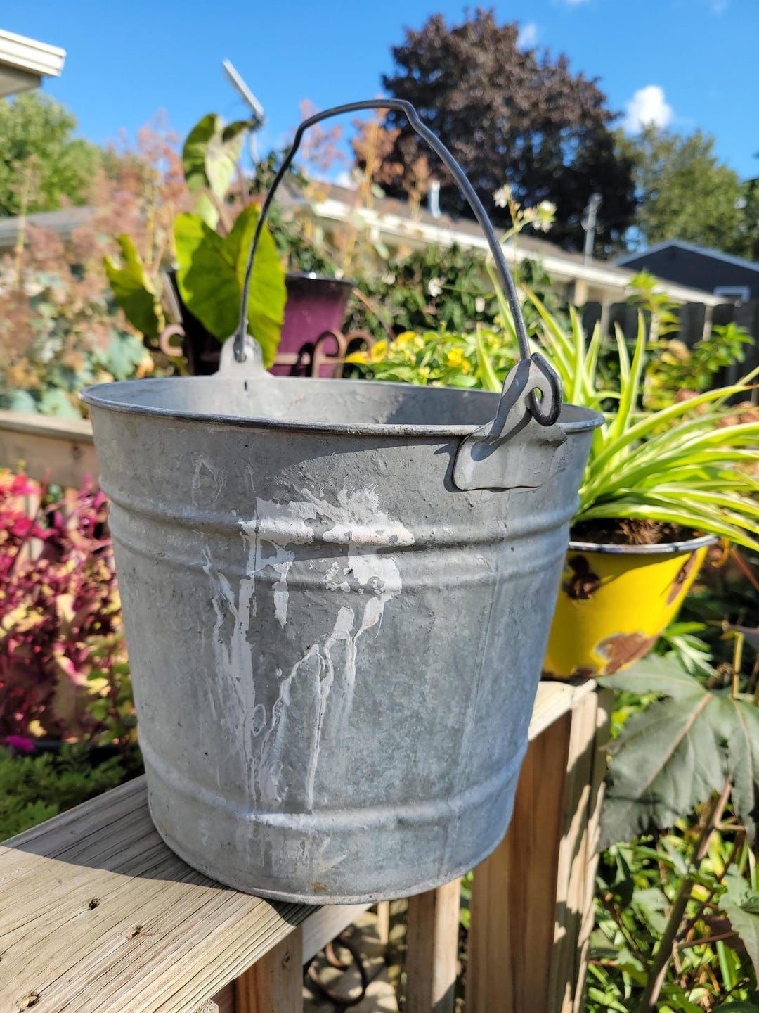 Vintage Galvanized Bucket Planters Wire Bail Handle Barn Tool Farm ...