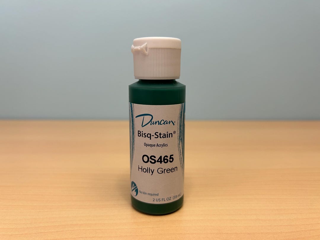 Holly Green Acrylic Paint by Duncan for Ceramics or Painting - Etsy