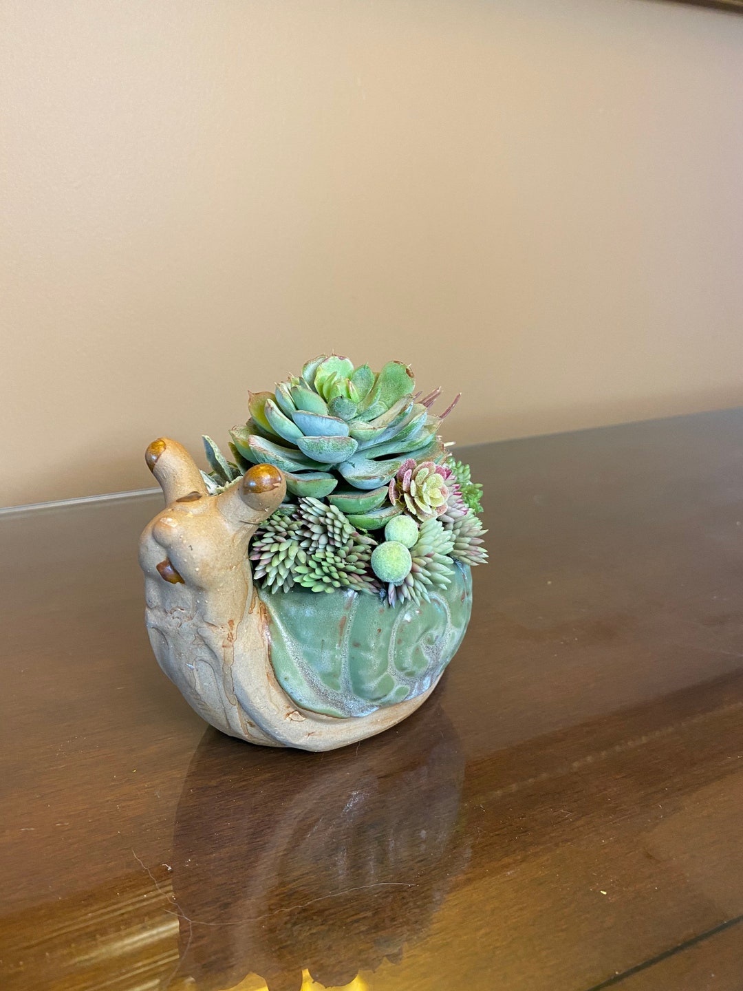 Snail With Faux Succulent. Faux Succulent. Snail. Ceramic Snail ...