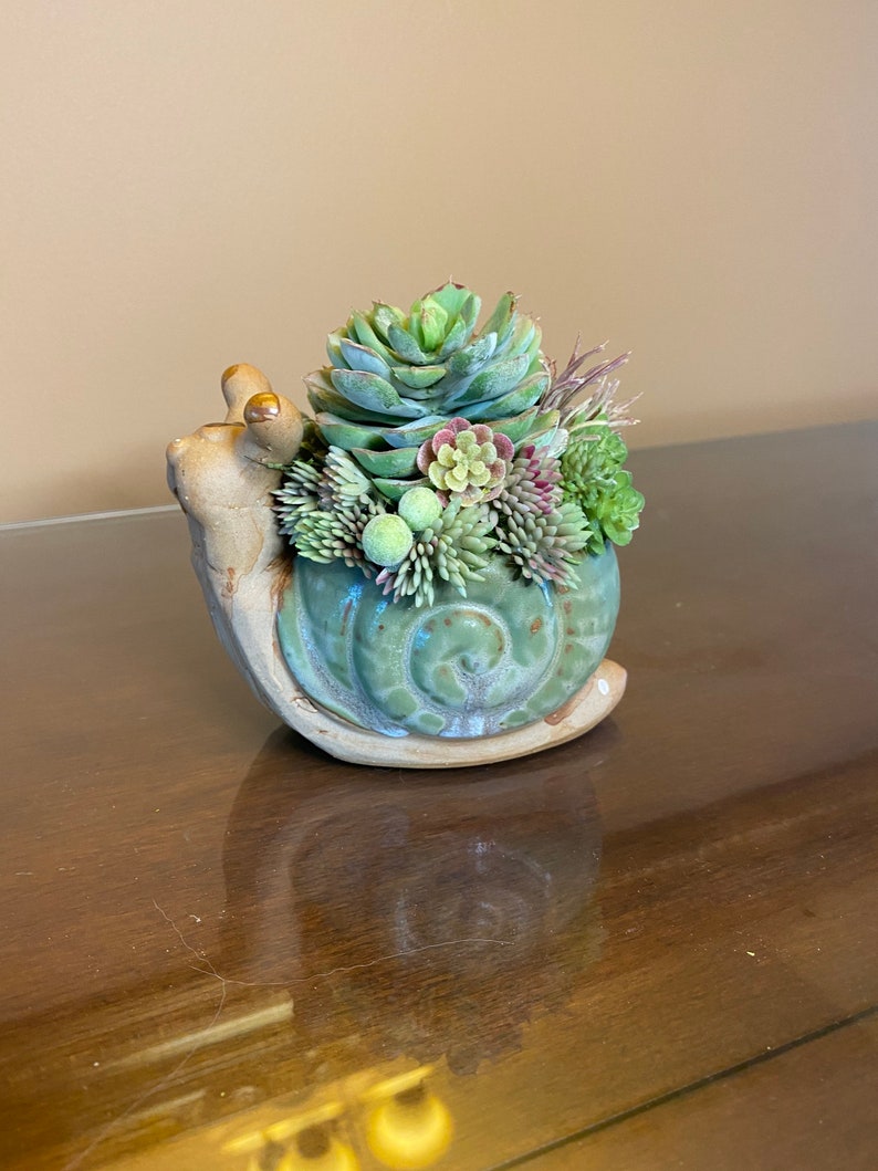 Snail With Faux Succulent. Faux Succulent. Snail. Ceramic Snail ...