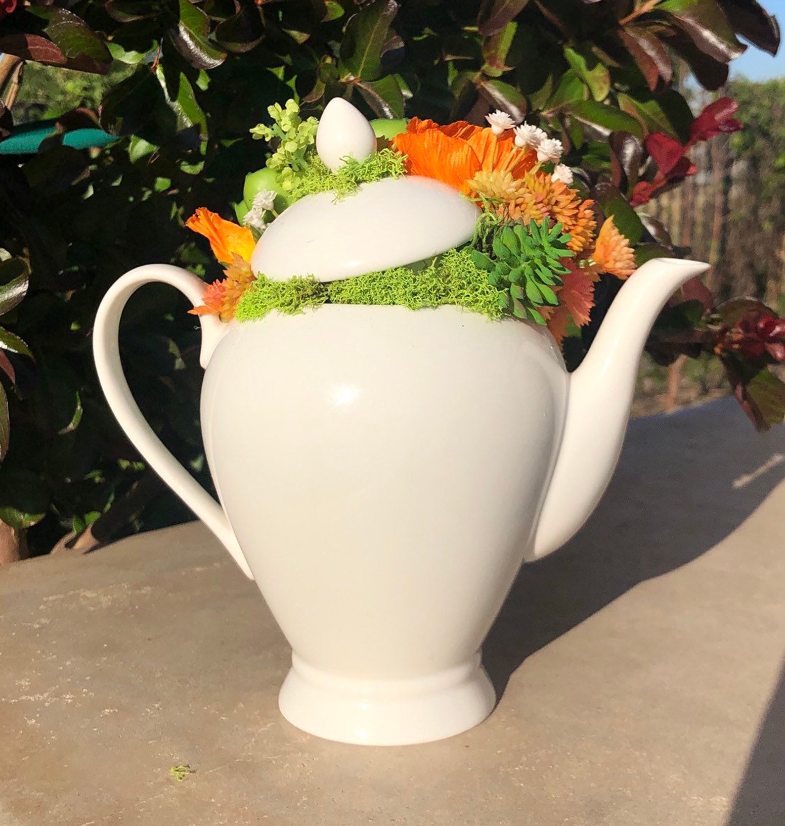 One Ceramic Teapot. Teapot With Faux Succulent. Faux Succulent ...