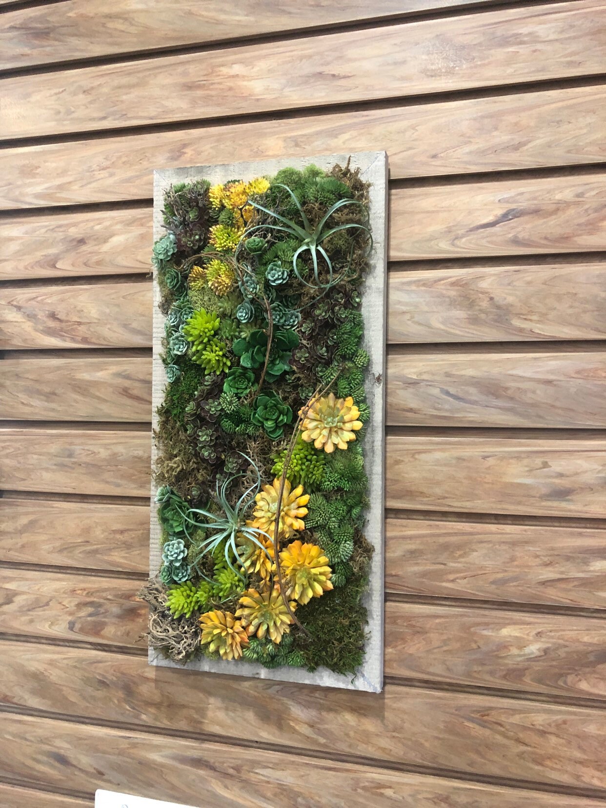 Succulent Wall Art. Wall Succulent. Wall Decor. Floral Decor. | Etsy