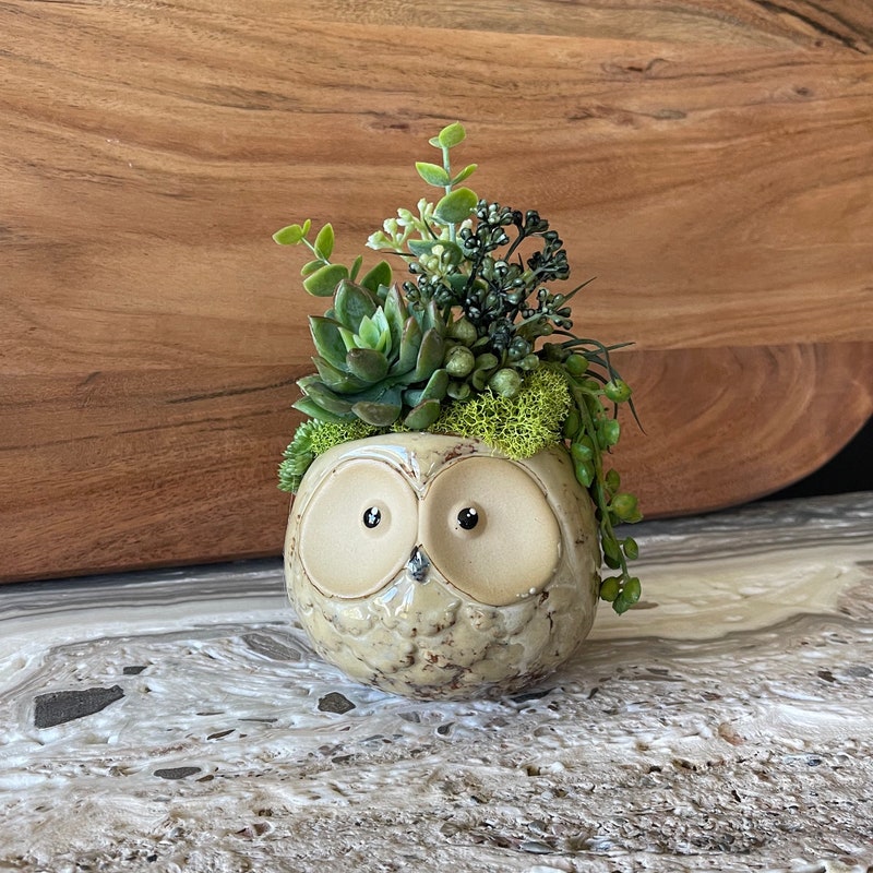 Owl Planter - Etsy