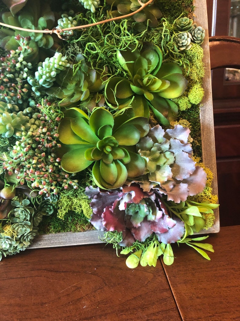 Succulent Arrangement. Floral Arrangement. Succulent Wall - Etsy