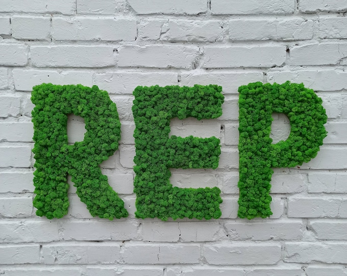 Custom Moss Letter, Moss Logo Sign, Preserved Moss Art Frame, Moss Wall ...