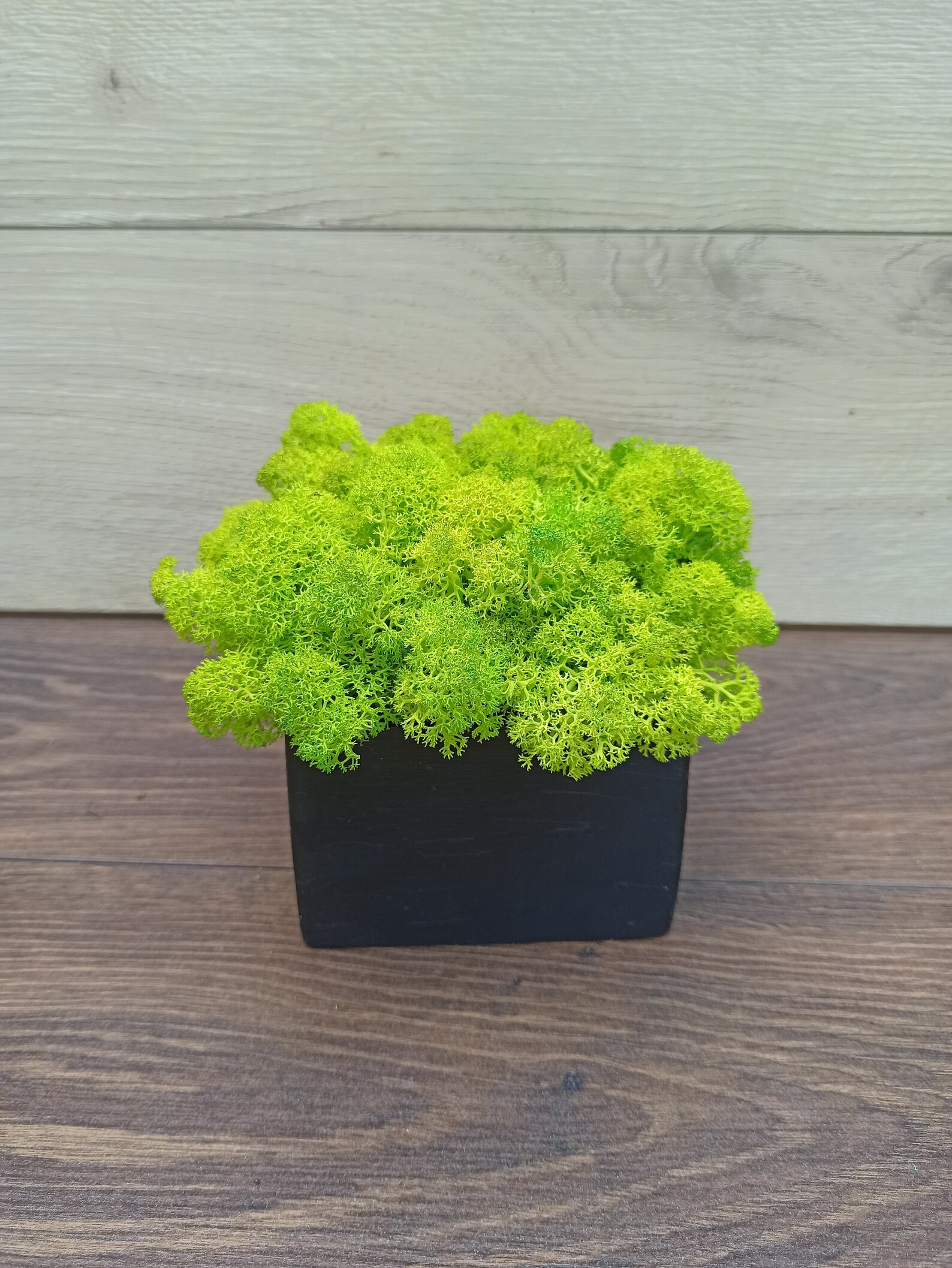 Wooden Black Pot With Stabilized Moss Preserved Moss - Etsy Ireland