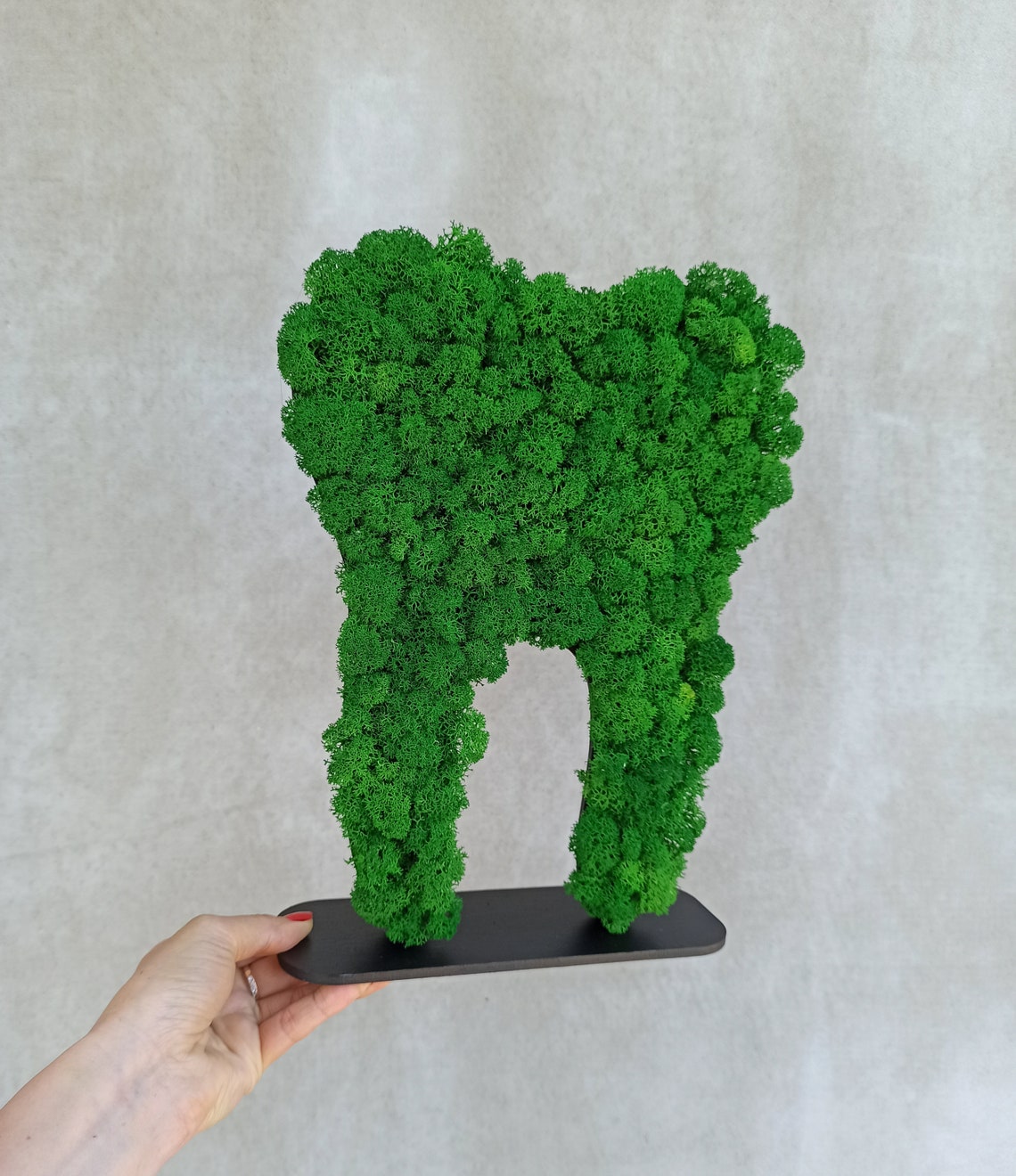 Moss Tooth Dentist Gift Dental Office Decor Dentist Office | Etsy