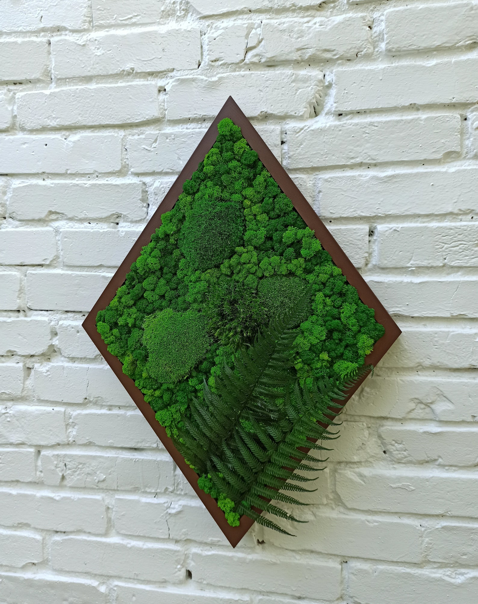 Preserved Moss Art Framed Real Moss Decor Living Moss Wall - Etsy