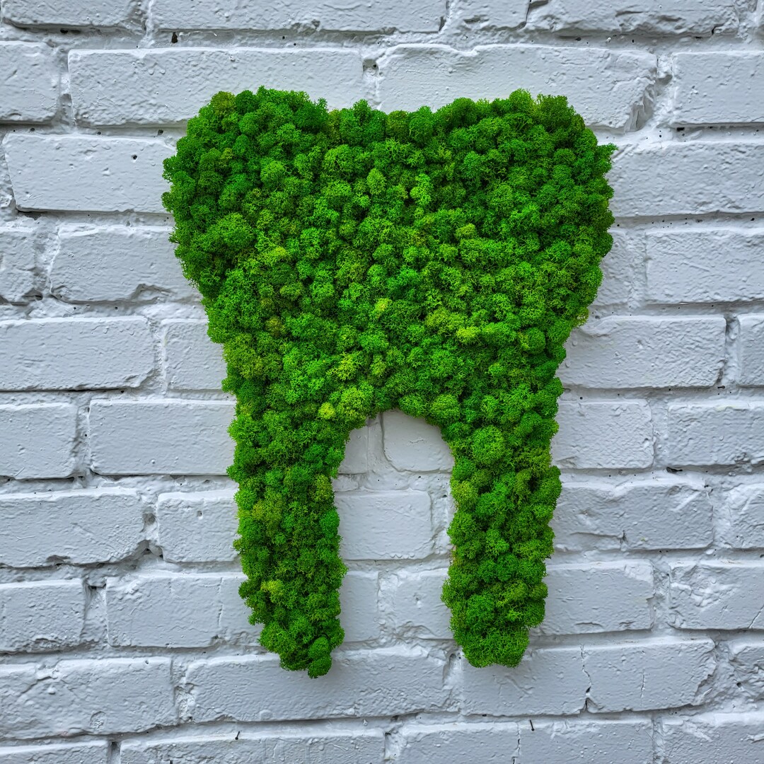 Dental Office Wall Decor, Wall Moss Tooth, Dentist Gift, Tooth Wall ...