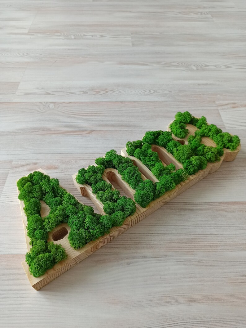 Real Moss Name Art Moss Names Moss Letter With a Wood - Etsy