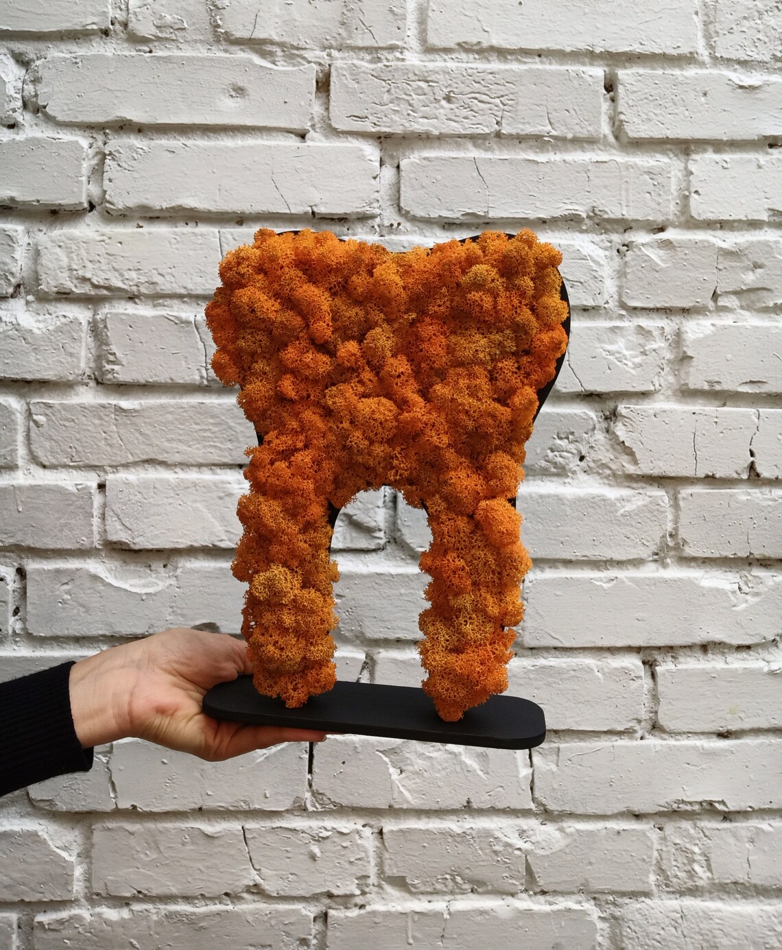 Moss Tooth Dentist Gift Dental Office Decor Dentist Office | Etsy