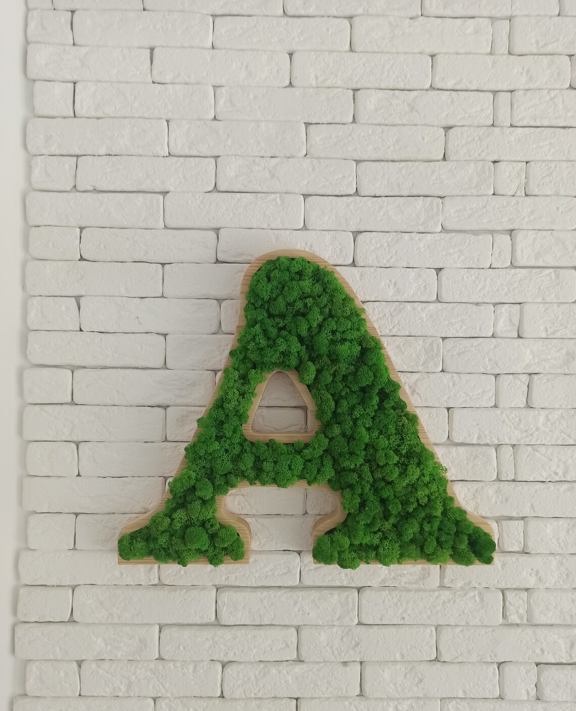 Custom Logo Moss Letters Moss Logo Design Logo Vegetal Real - Etsy