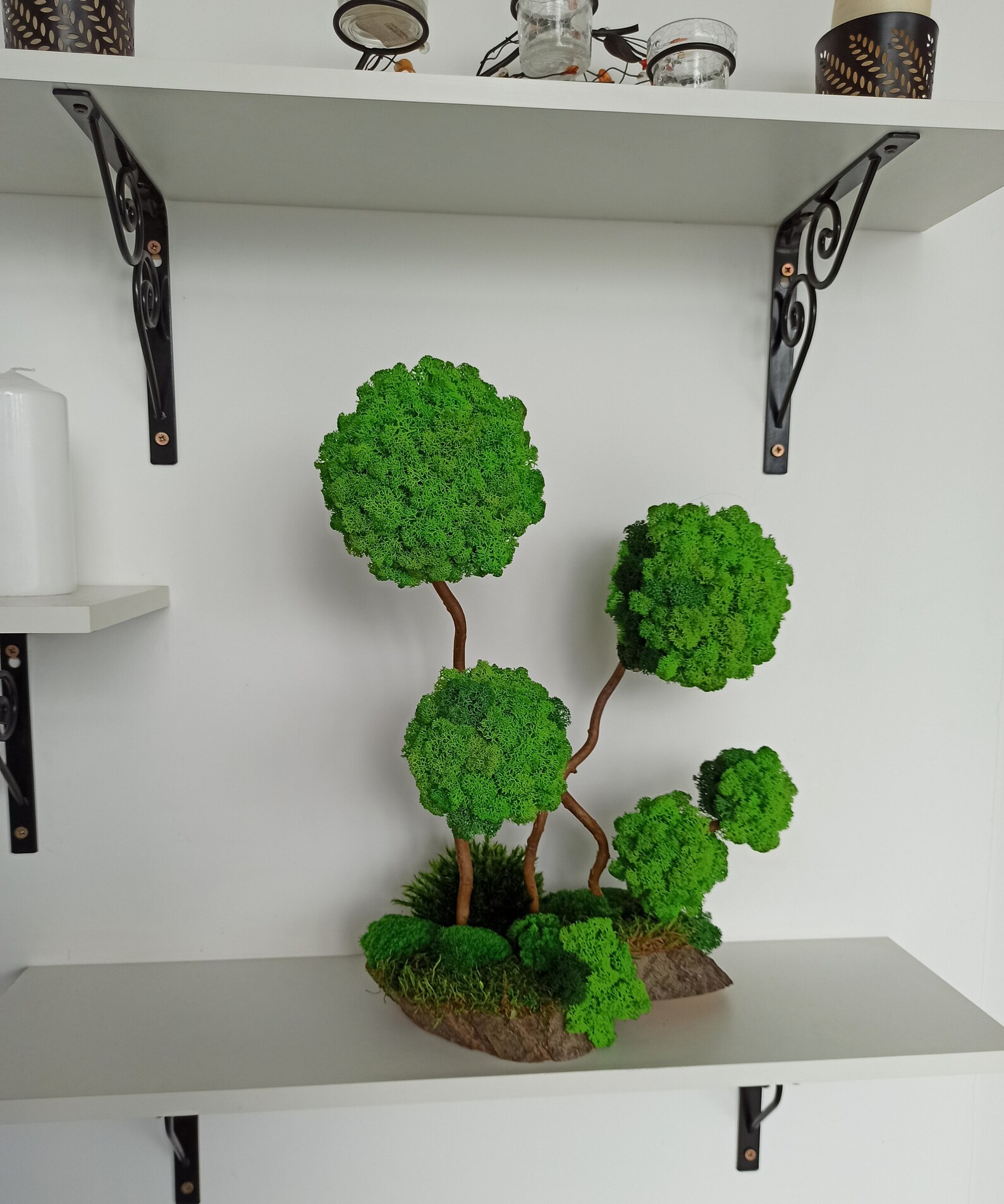 Moss Topiary Bonsai Tree Moss Eco Happiness Tree Nature - Etsy