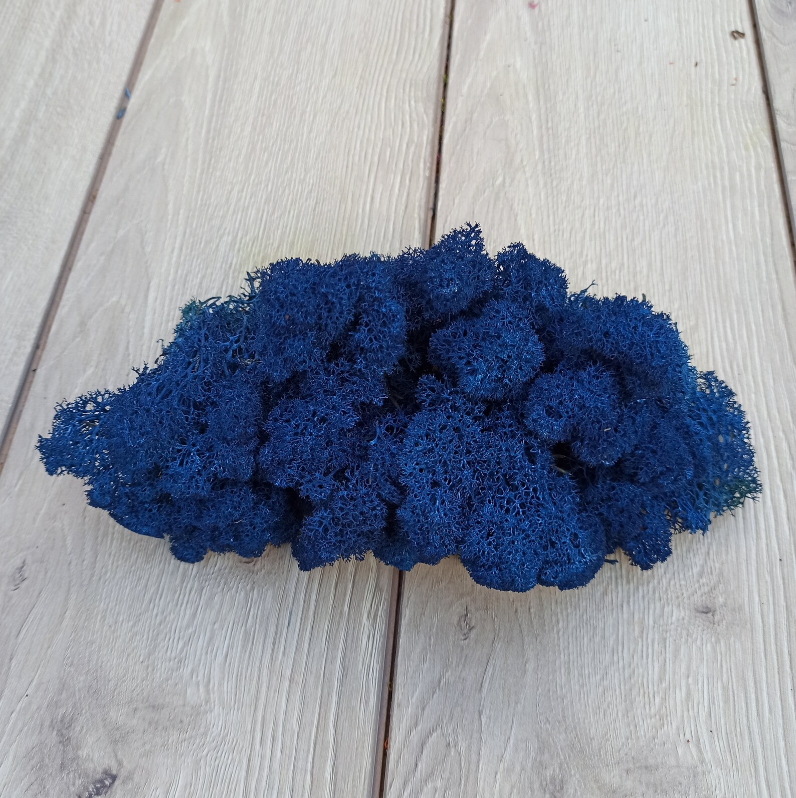 Moss World Map Preserved Moss Wall Housewarming Gift 5th - Etsy