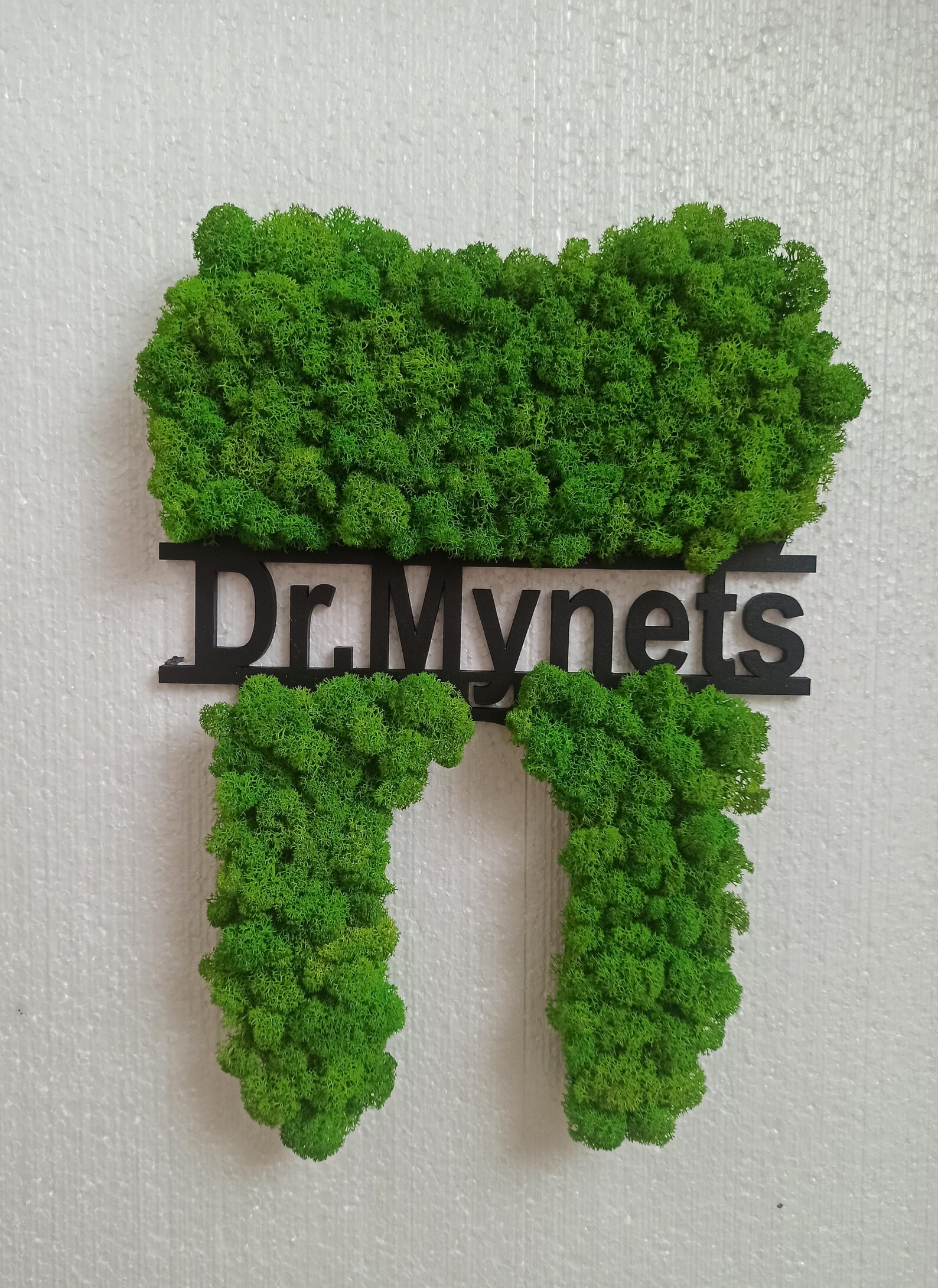Wall Moss Tooth Dentist Office Sign Vertical Moss Art | Etsy