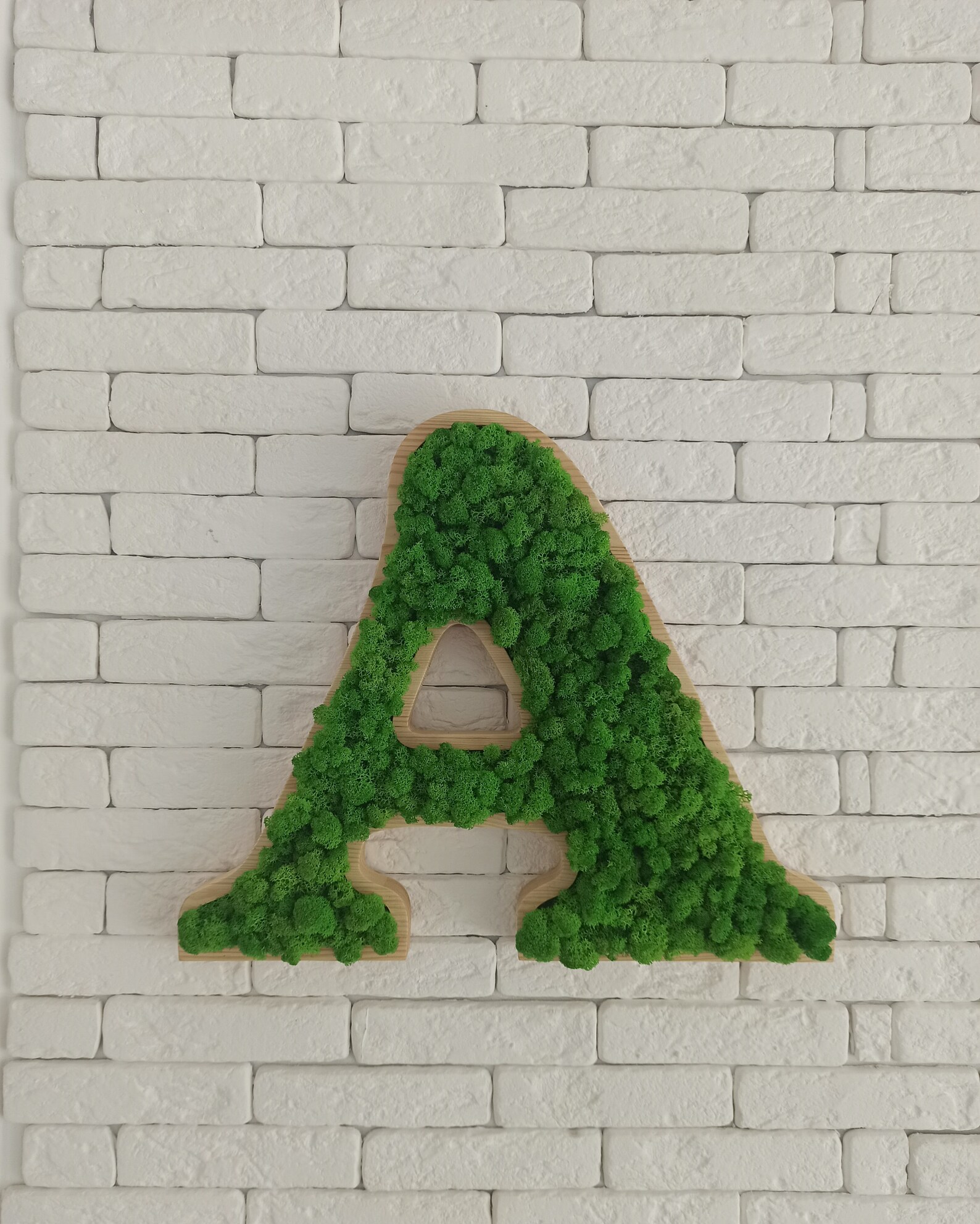 Custom Moss Letter With a Wood Border, Wooden Letters, Nursery Letters ...