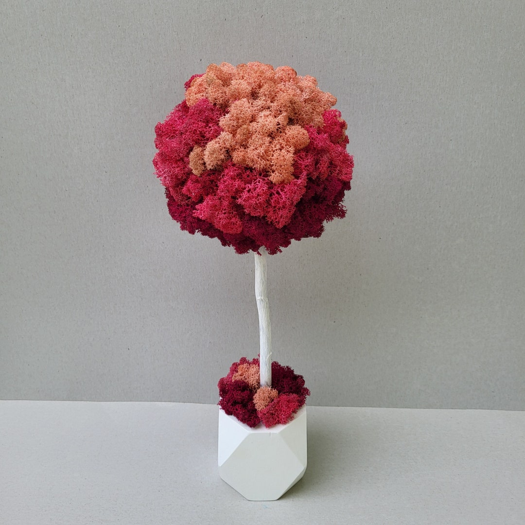 Moss Topiary in Pink Colors Bonsai Tree Moss Bright Spring Summer Home ...