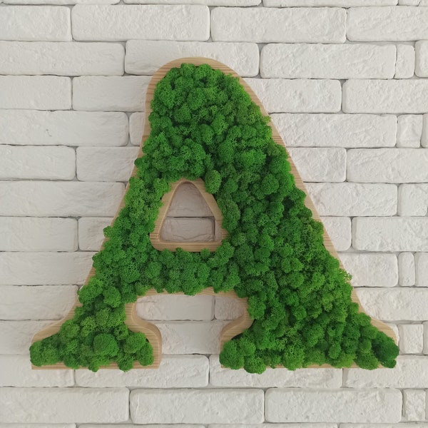 Moss Letter - Etsy