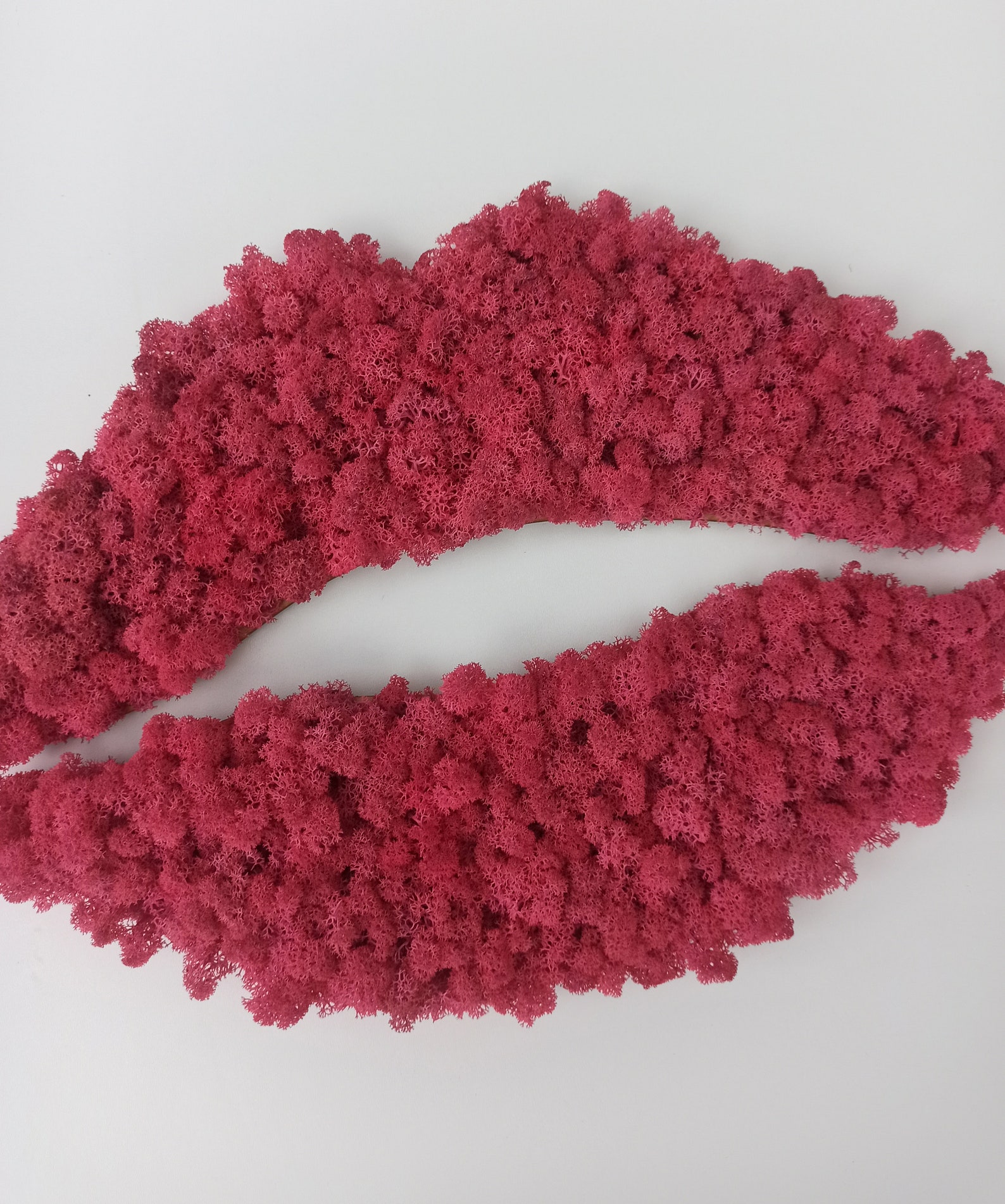 Red Moss Lips Wall Art Beauty Studio Decor Salon Decor Wall - Etsy