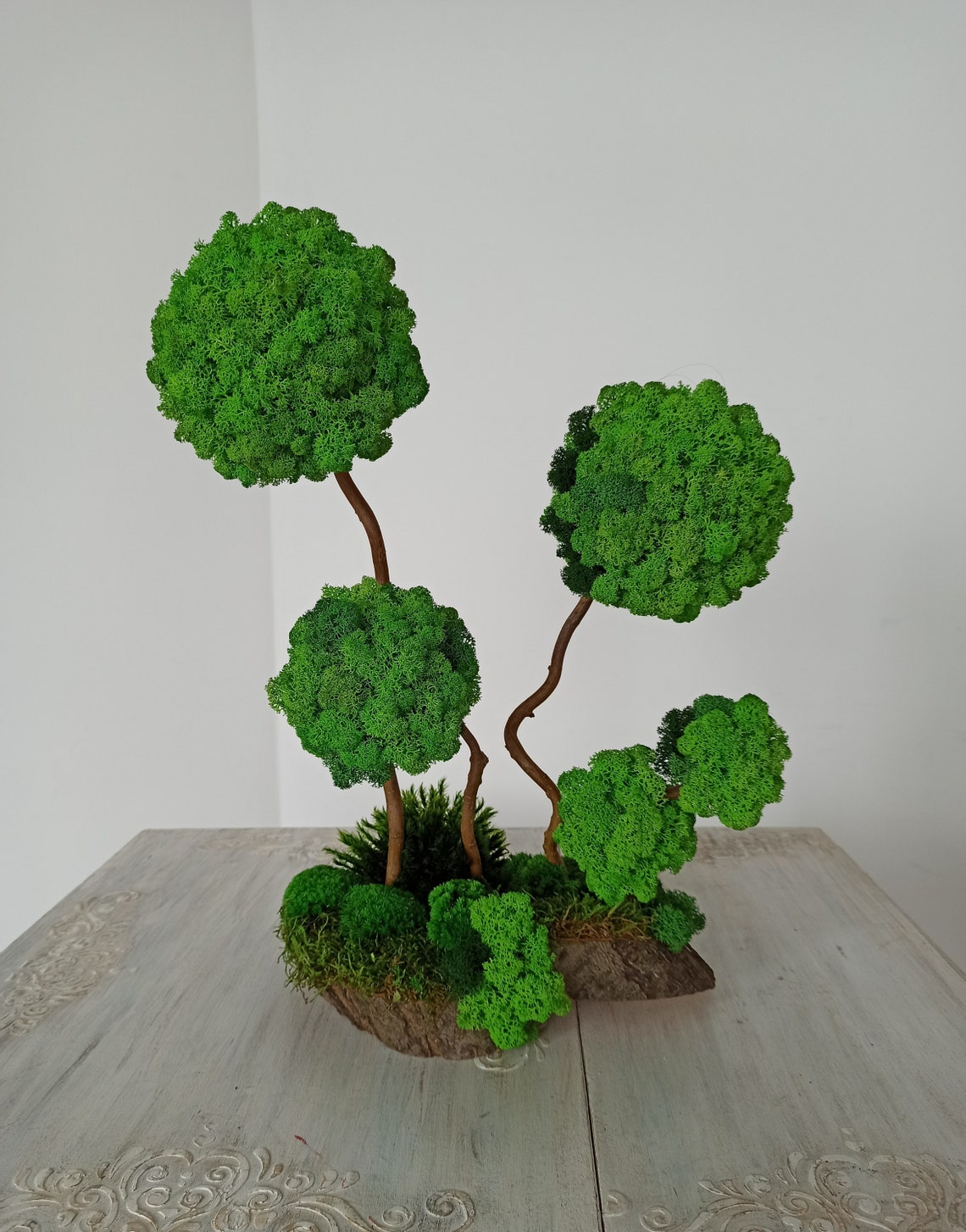 Moss Topiary Bonsai Tree Moss Eco Happiness Tree Nature - Etsy