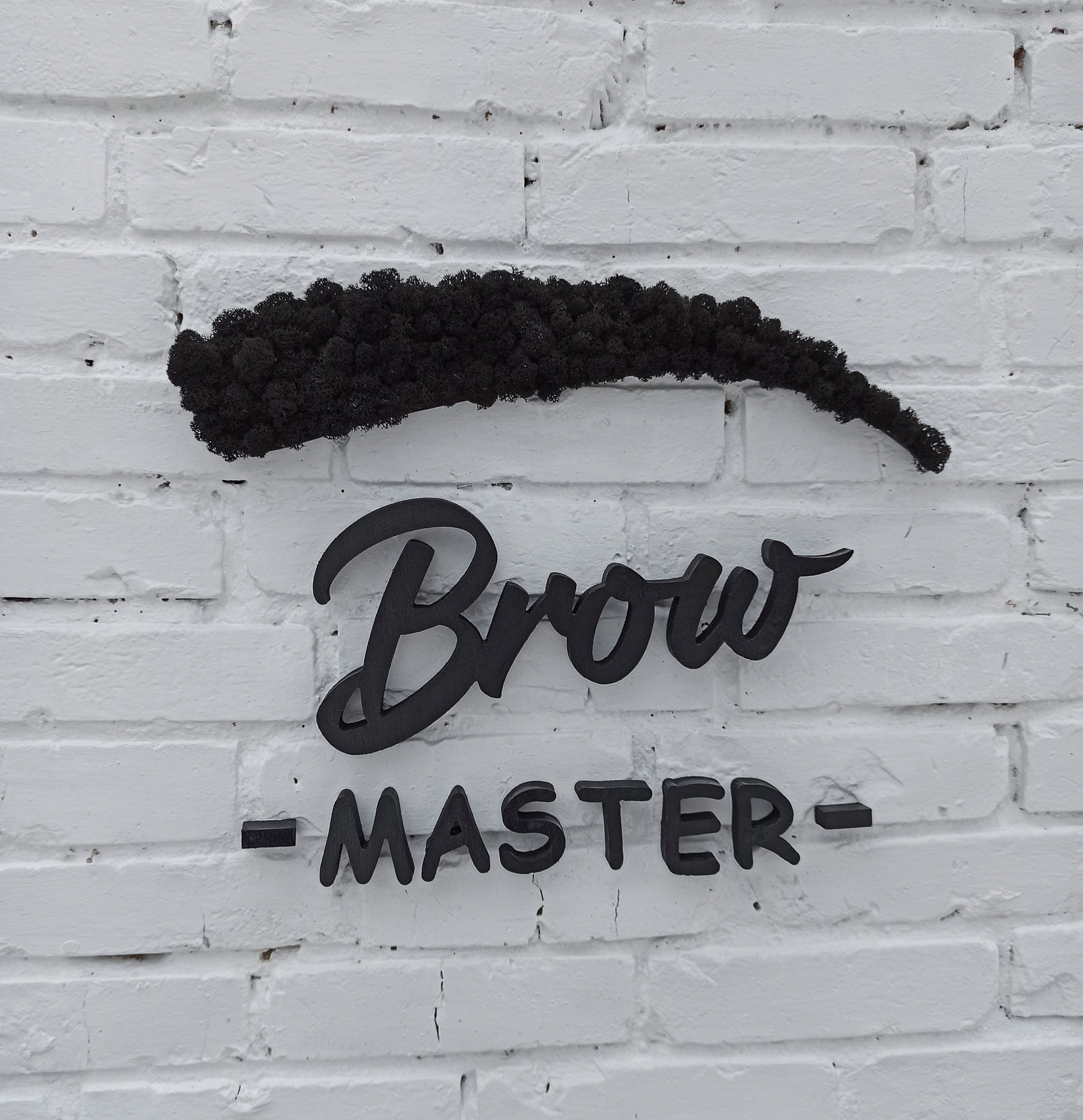 Moss Wall Art, Eyebrow Wall Decor, Brows Decor, Eyebrow Art, Brow Bar ...