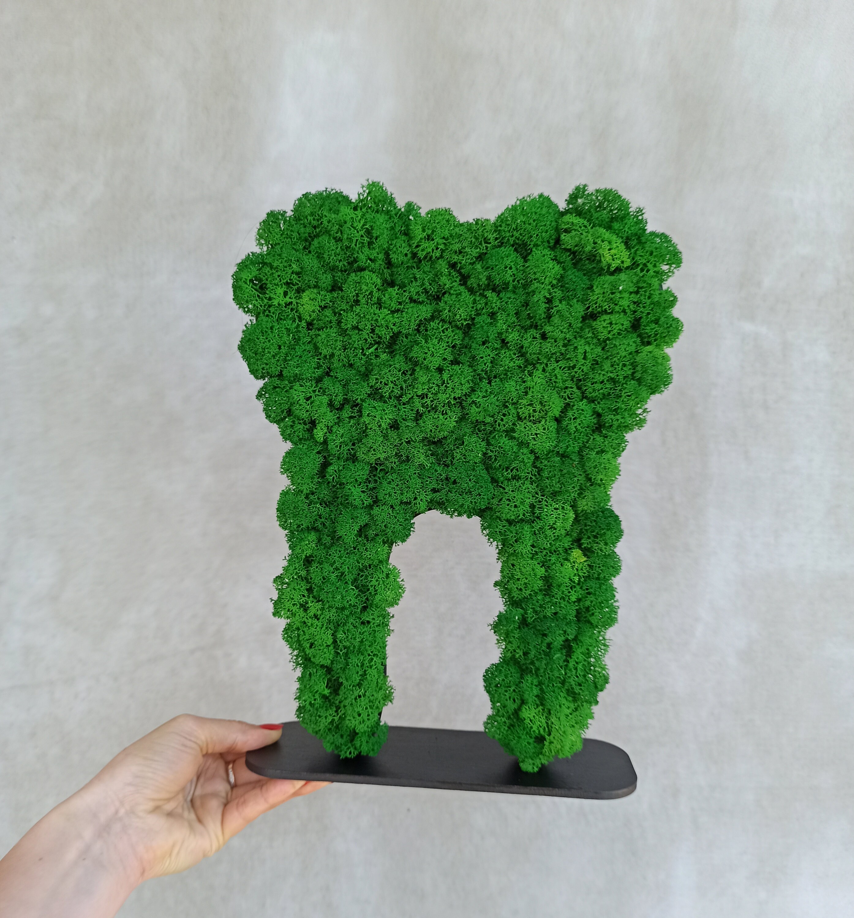 Moss tooth Dentist Gift Dental Office Decor Dentist office | Etsy