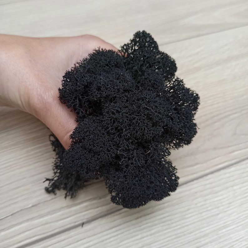 Red Moss Lips Wall Art Beauty Studio Decor Salon Decor Wall | Etsy