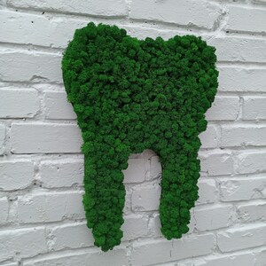 Dental Office Wall Decor, Wall Moss Tooth, Tooth Wall Decor, Dentist ...