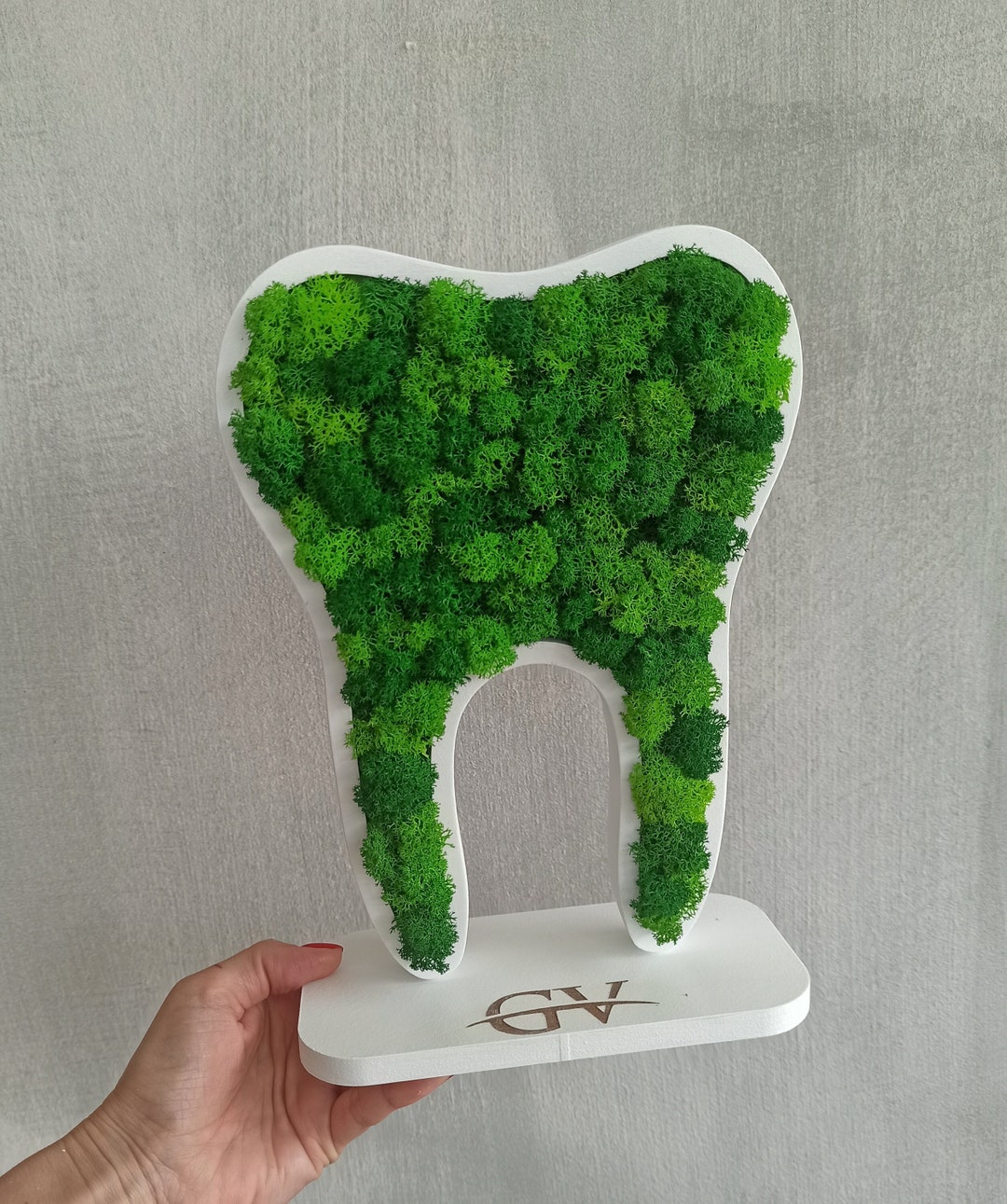 Custom Moss Tooth, for Dentist Graduation Gift, Future Dentist, Dental ...