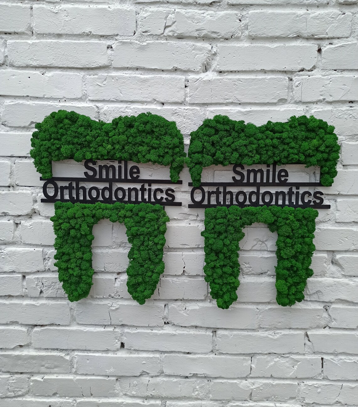 Wall moss tooth Dentist office sign Vertical moss art | Etsy
