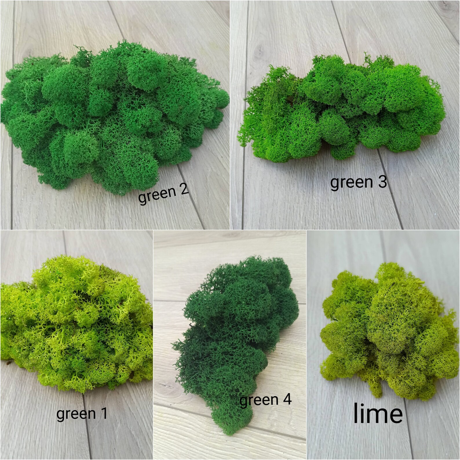 Custom Logo Moss Letters Moss Logo Design Logo Vegetal Real - Etsy